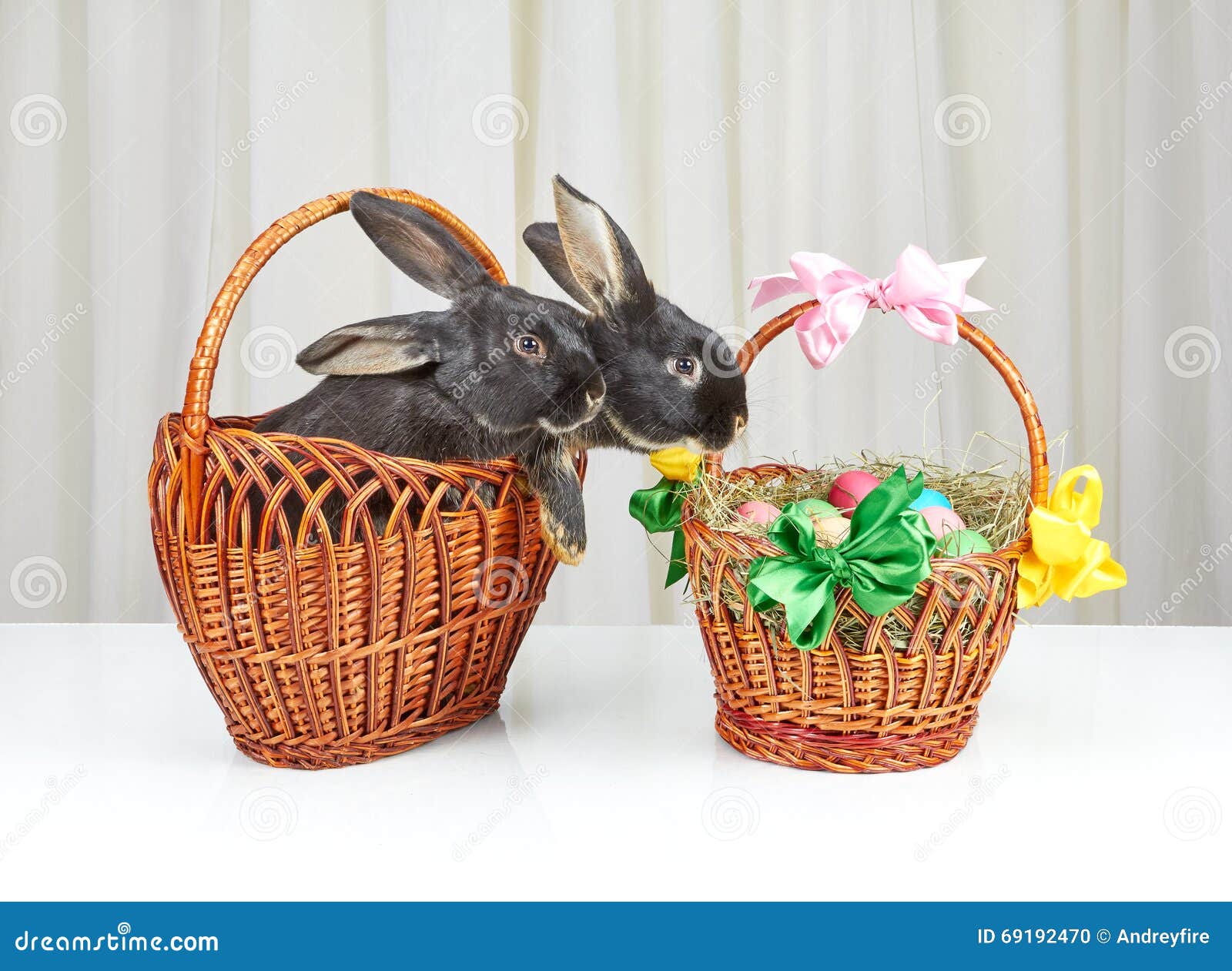 Near Easter Basket Two Rabbits Sitting in a Basket Stock Photo - Image ...