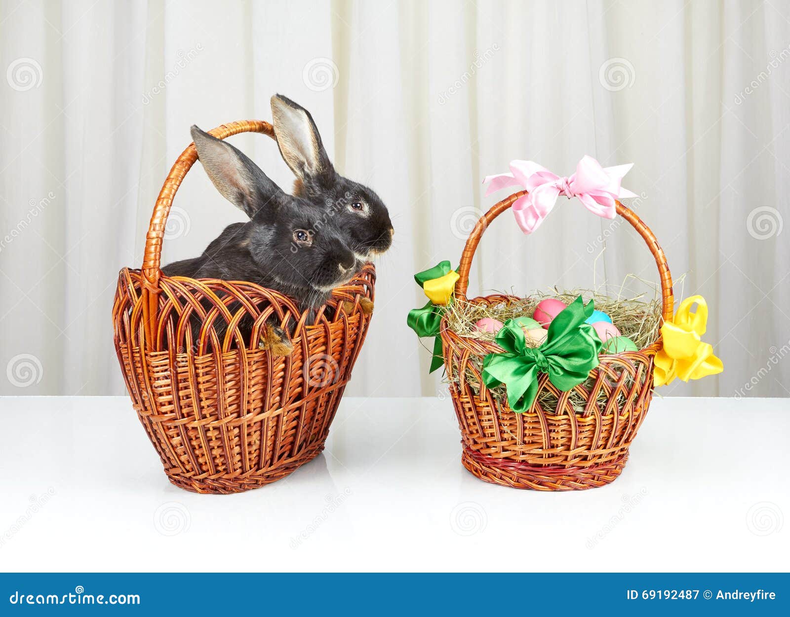 Near Easter Basket Two Rabbits Sitting in a Basket Stock Image - Image ...