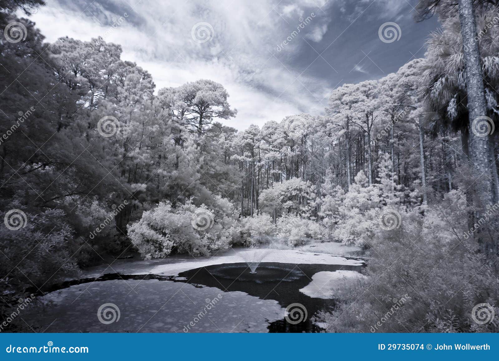 Infrared View of Forest and Water Stock Photo - Image of cloud, unusual ...