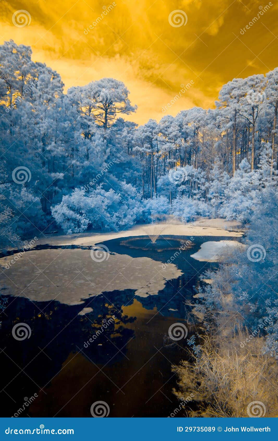 Infrared View of Forest and Water Stock Image - Image of strange, water ...