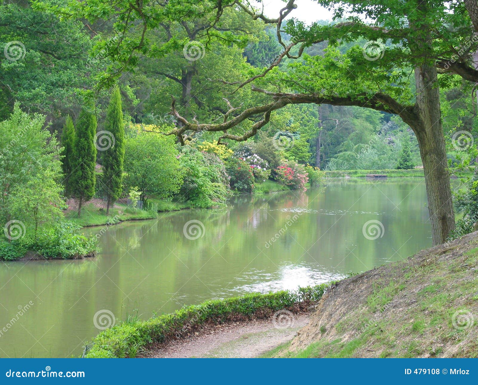 Near Peaceful Water stock photo. Image of summer, ripple - 479108