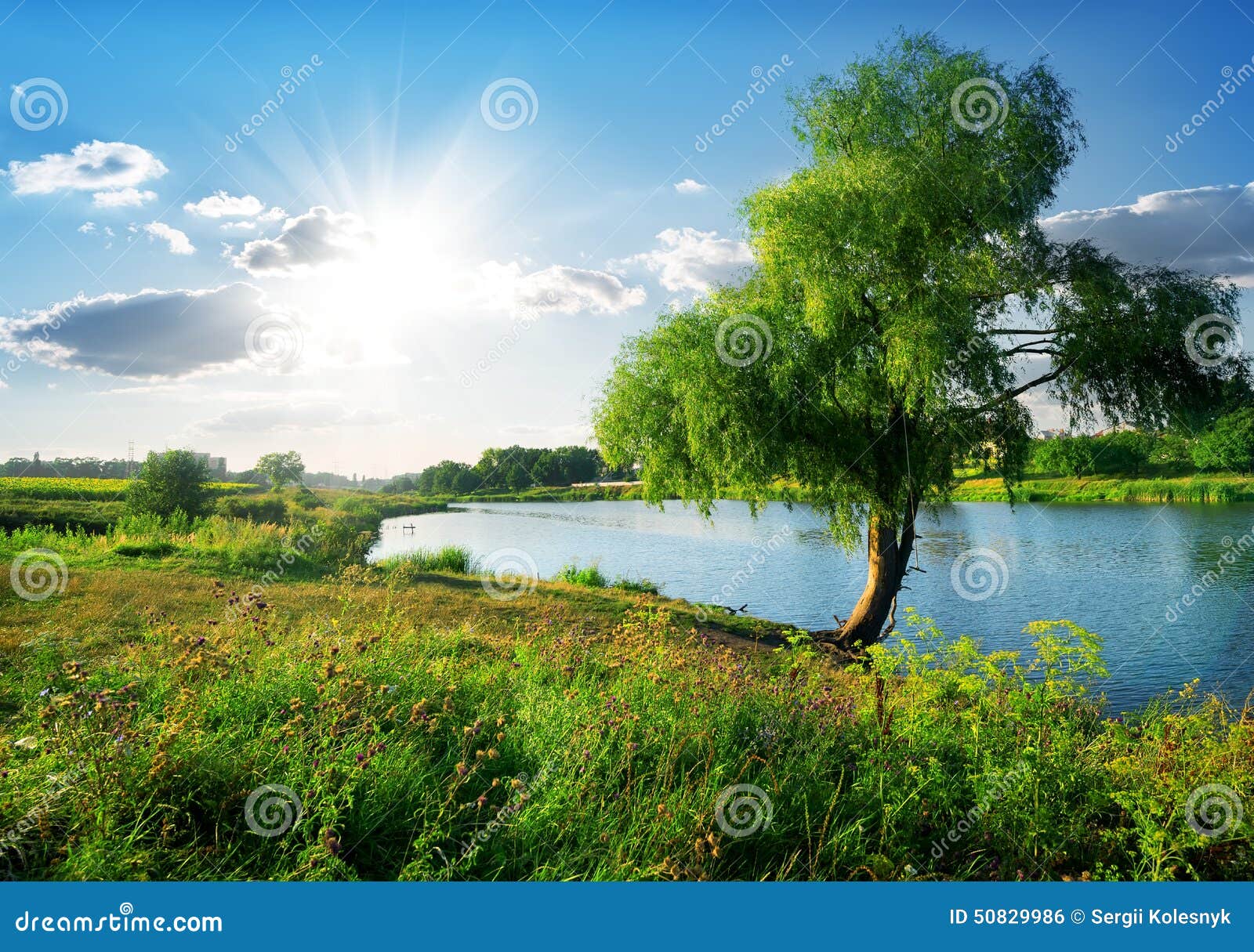 Near river stock photo. Image of cloud, beauty, growth - 50829986