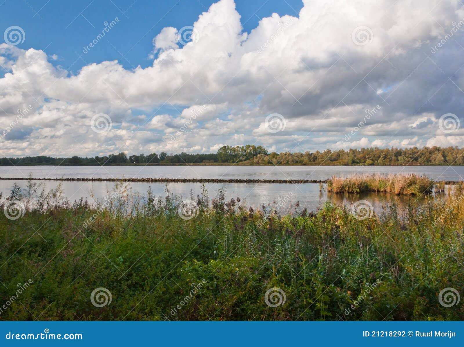 Near the Riverside of a River in the Netherlands Stock Photo - Image of ...