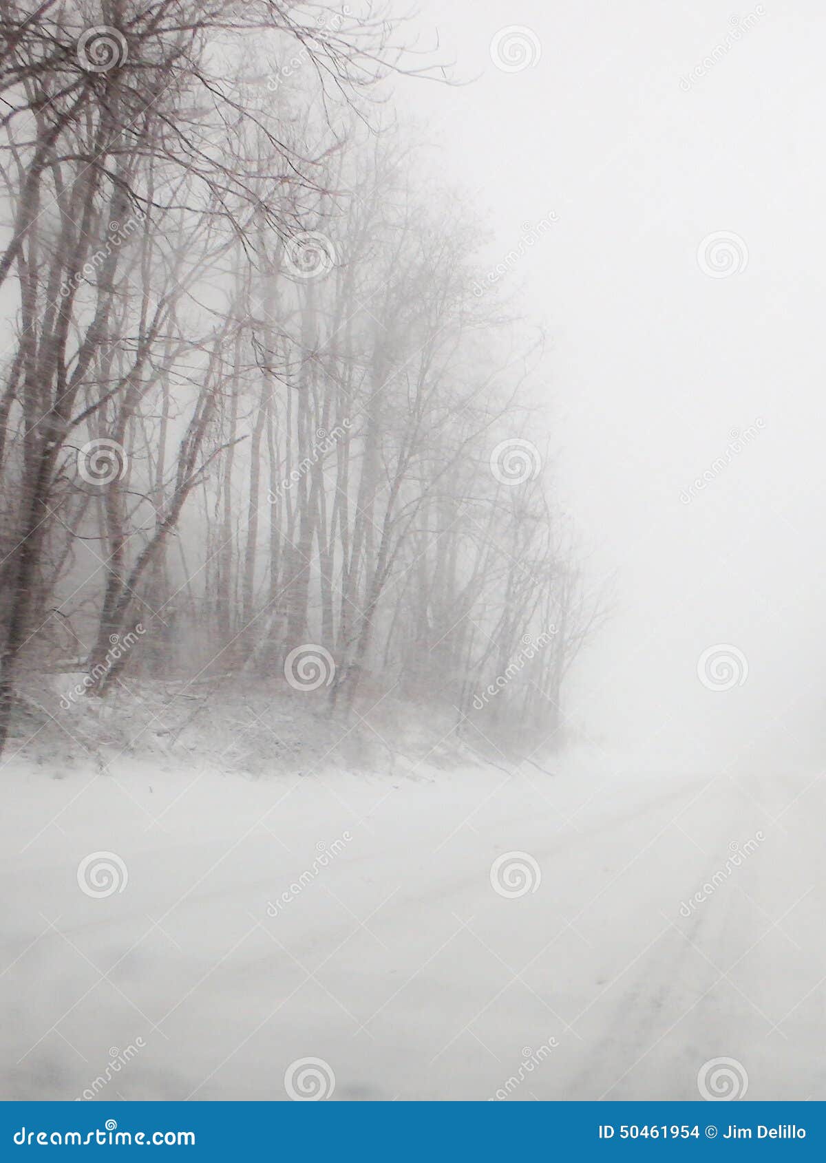 Fog And Zero Visibility Along A Road Stock Image | CartoonDealer.com ...