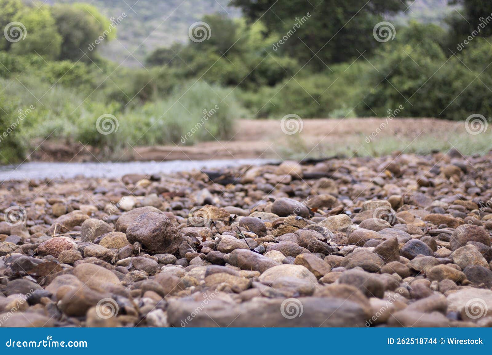 Nearly Dried Torrent Bed with Slopes in the Background Stock Photo ...