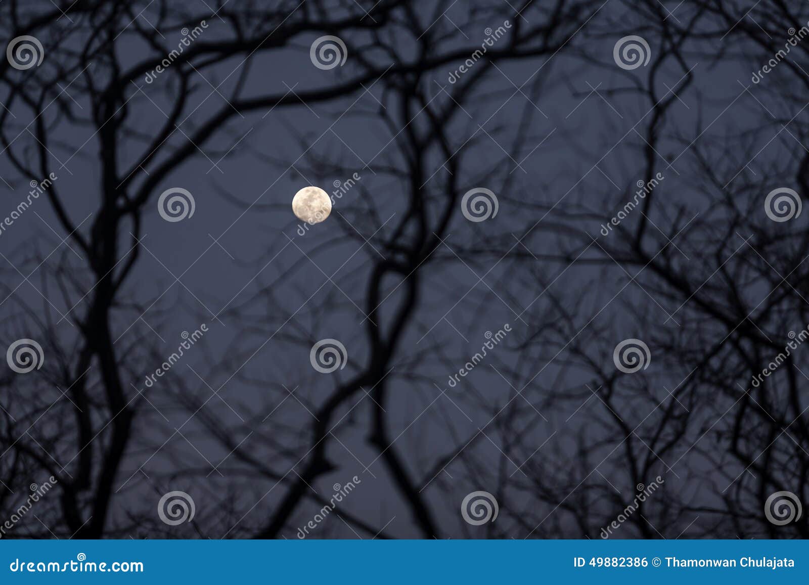 A Nearly-full Moon at Night Stock Photo - Image of nature, outdoors ...
