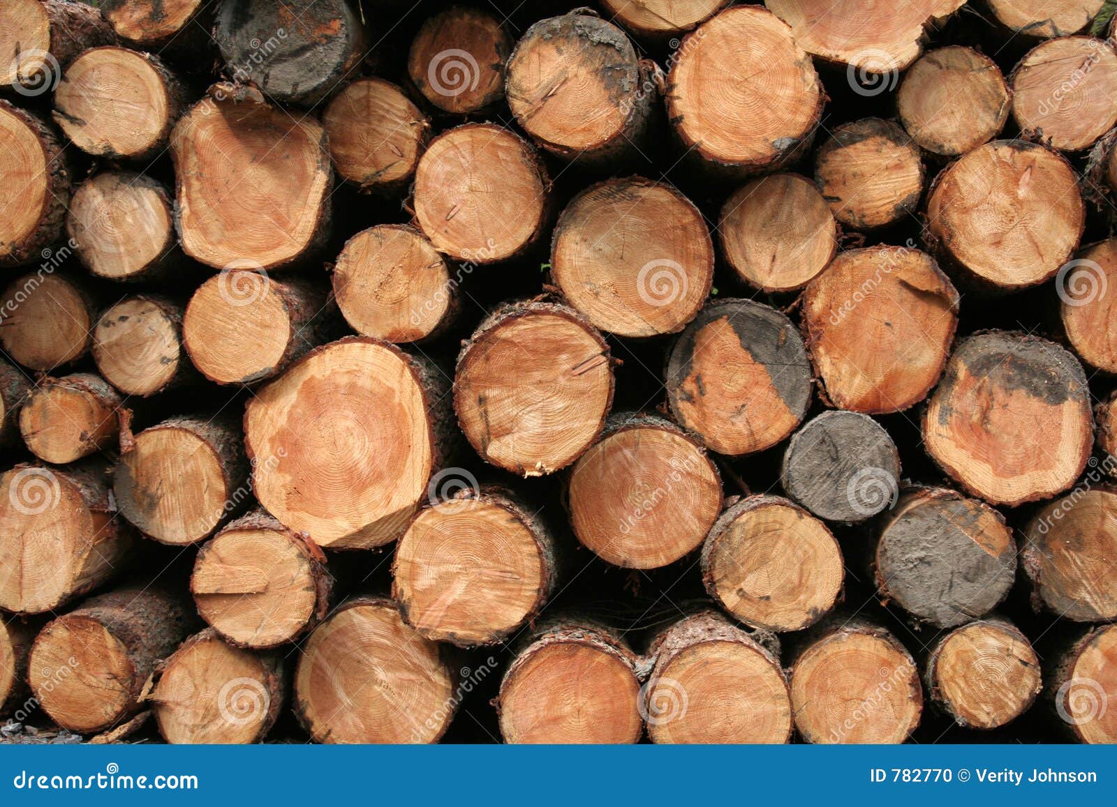 Neat log pile stock photo. Image of sawed, pile, logging - 782770