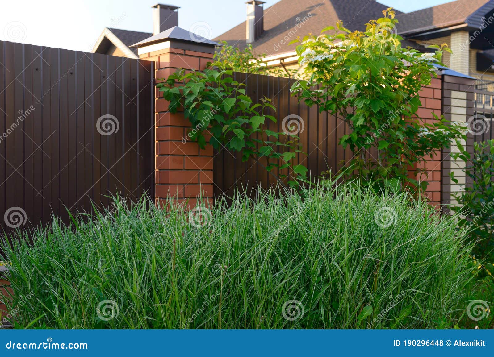 A Neat Metal Profile Fence with Brick Posts and Greenery Stock Photo ...