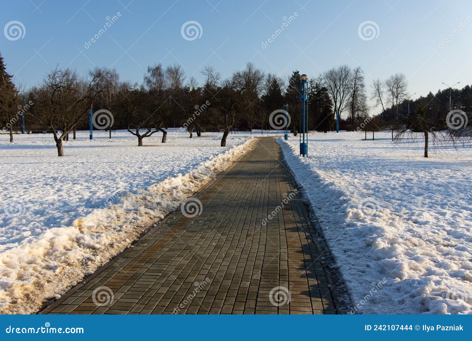A Neat Paved Path Cleared of Snow and Ice in a Snowy City Park Stock ...