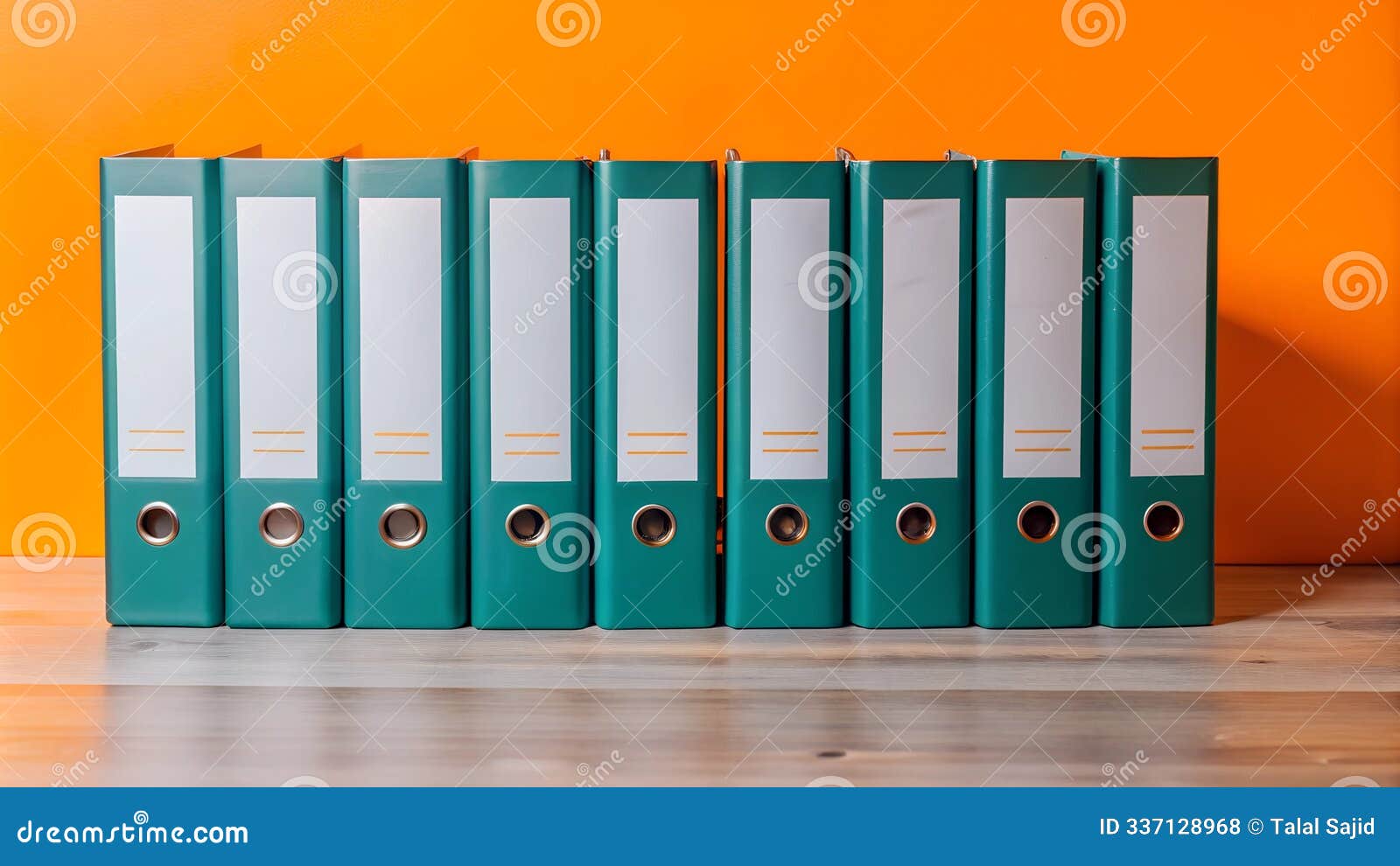 Neat Row of New Labeled File Folders and Binder - Organization Design ...