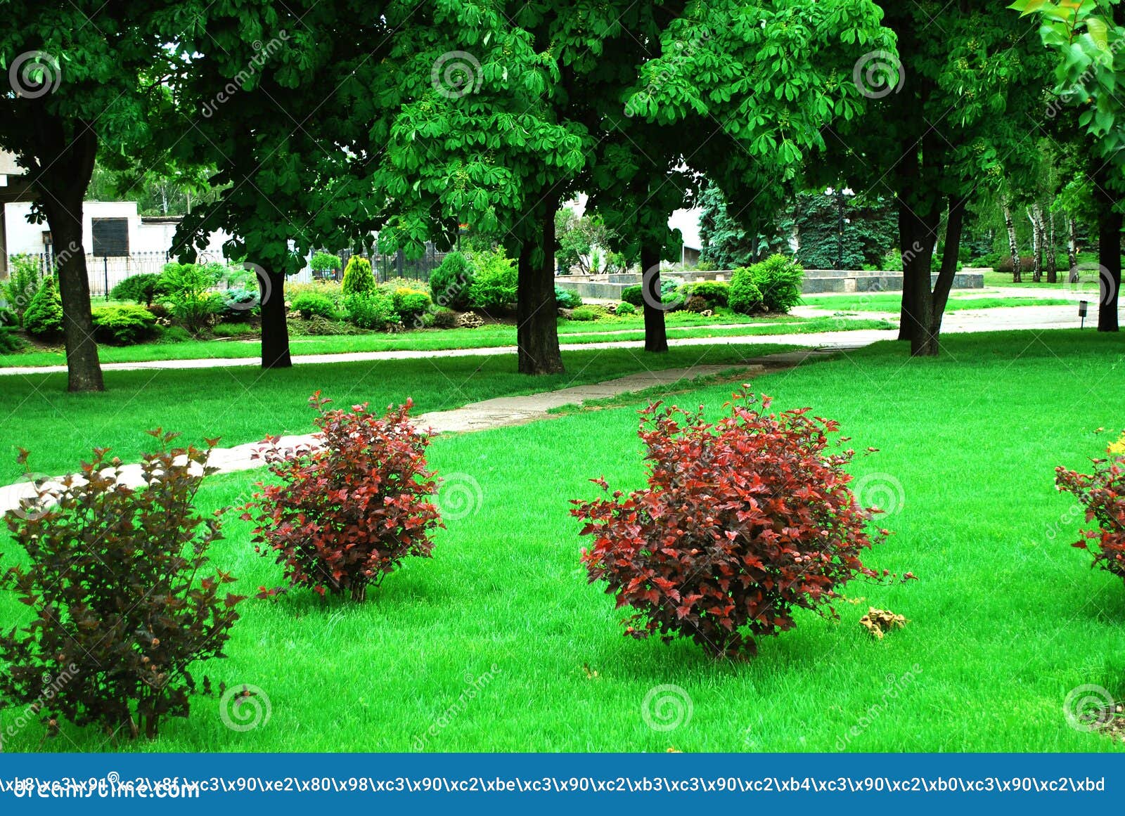 A Neatly Cleaned Park Area with Plants Stock Photo - Image of lawn ...