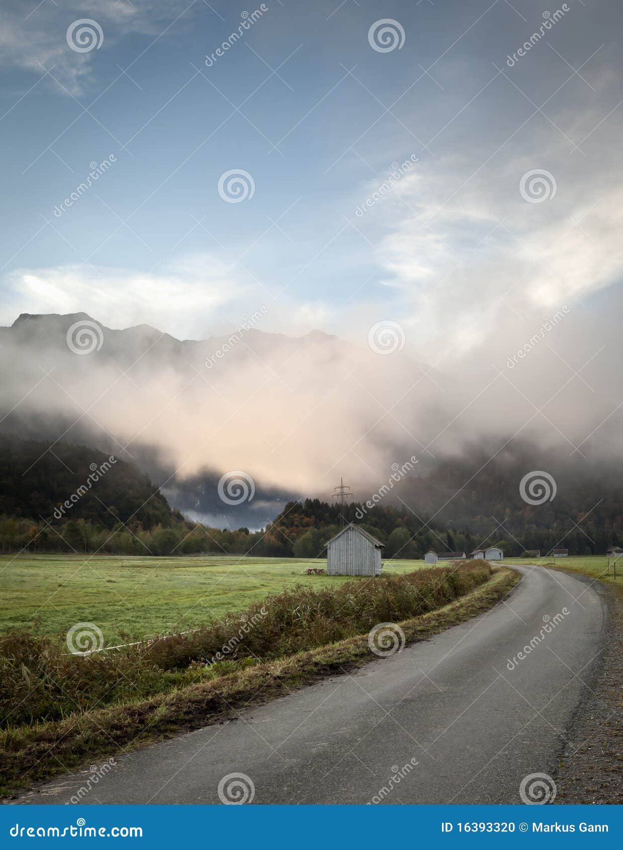 Nebel stock photo. Image of light, early, bright, dream - 16393320