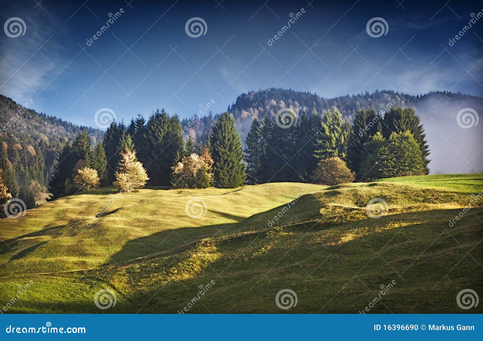 Nebel stock photo. Image of haze, dream, morning, dark - 16396690