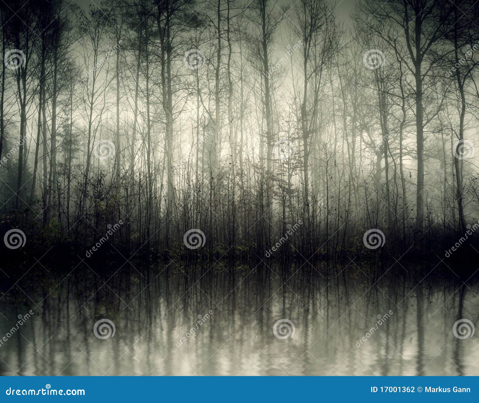 Nebel stock photo. Image of bright, bavaria, light, landscape - 17001362