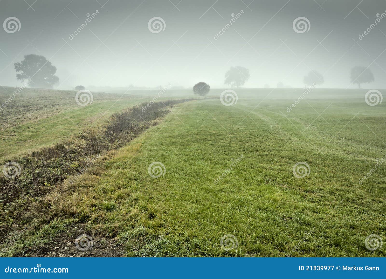 Nebel stock image. Image of fall, grass, alps, fantasy - 21839977