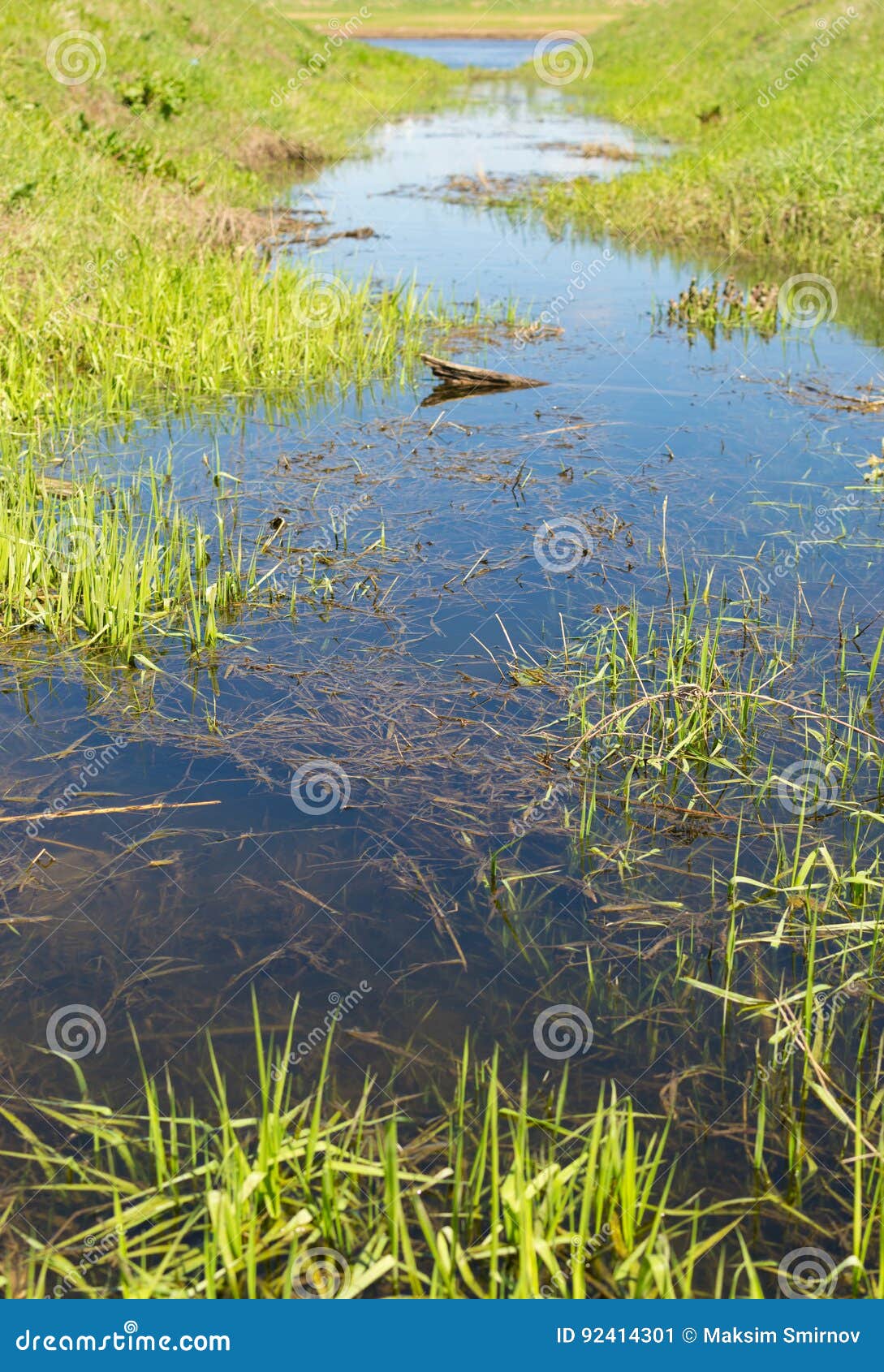 Nebenfluss auf dem Fluss stockbild. Bild von schön, bach - 92414301