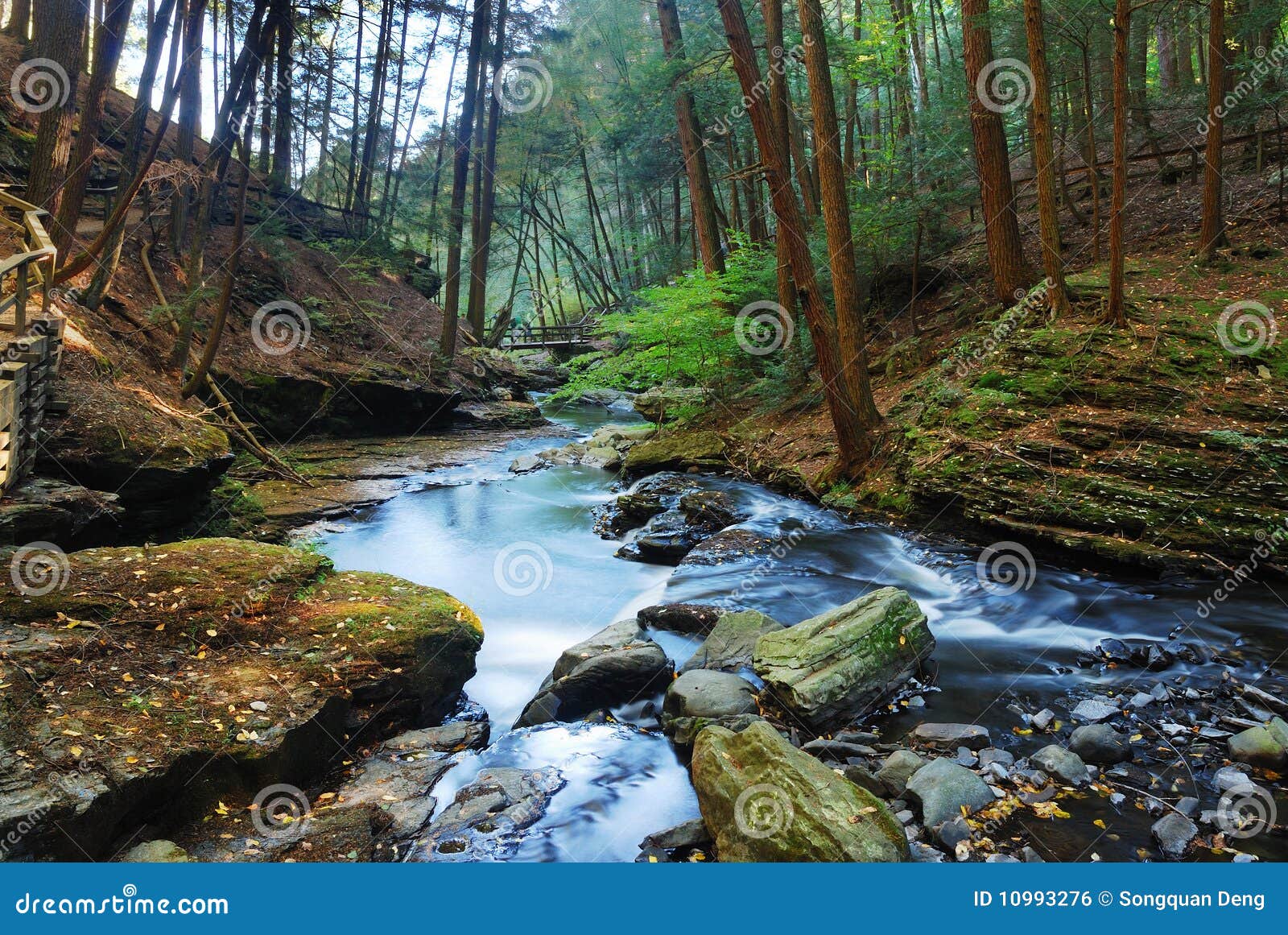 Nebenfluss im Holz stockfoto. Bild von schön, grün, herbst - 10993276