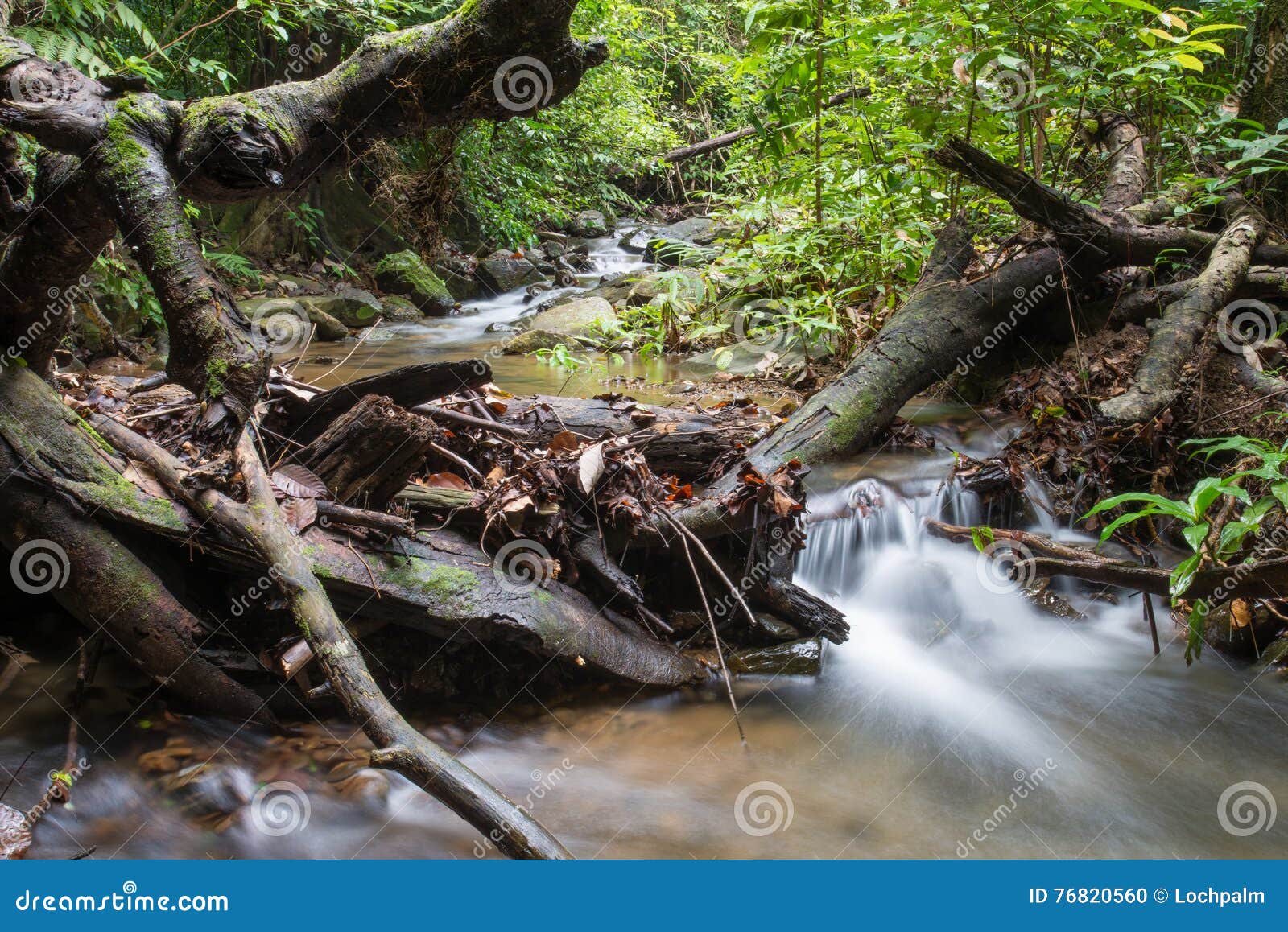 Nebenfluss Und Gefallener Baum, Langes Exposer Stockfoto - Bild von ...