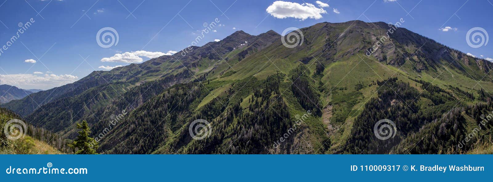 Nebo Loop in July stock image. Image of valley, canyon - 110009317