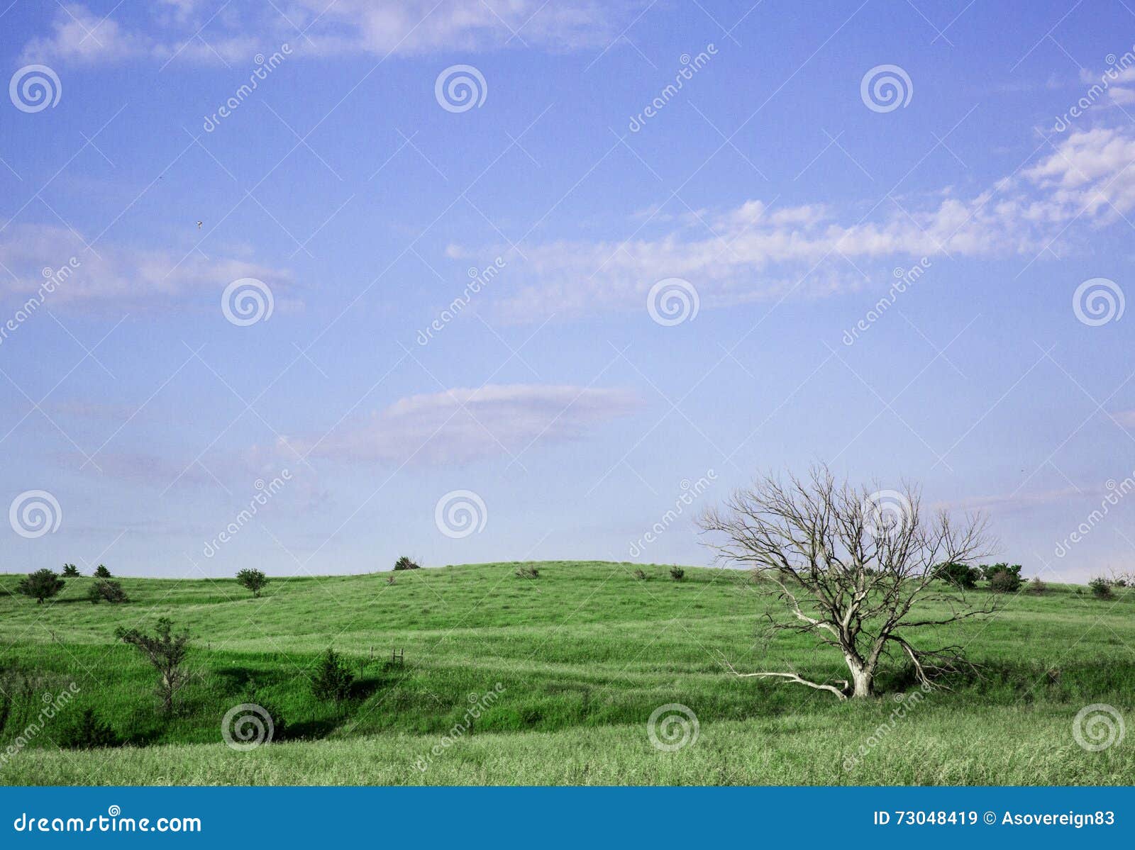 NEBRASKA LANDSCAPE stock image. Image of meadow, spring - 73048419