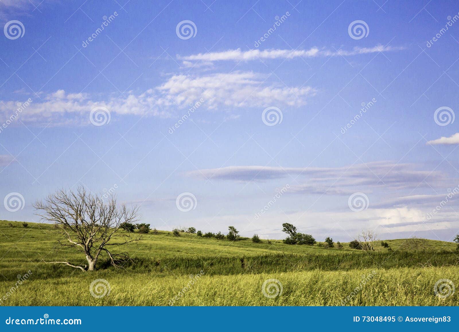 NEBRASKA LANDSCAPE stock image. Image of ecoregion, prairie - 73048495