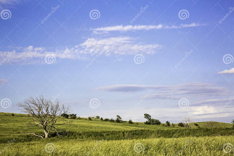 NEBRASKA LANDSCAPE stock image. Image of ecoregion, prairie - 73048495