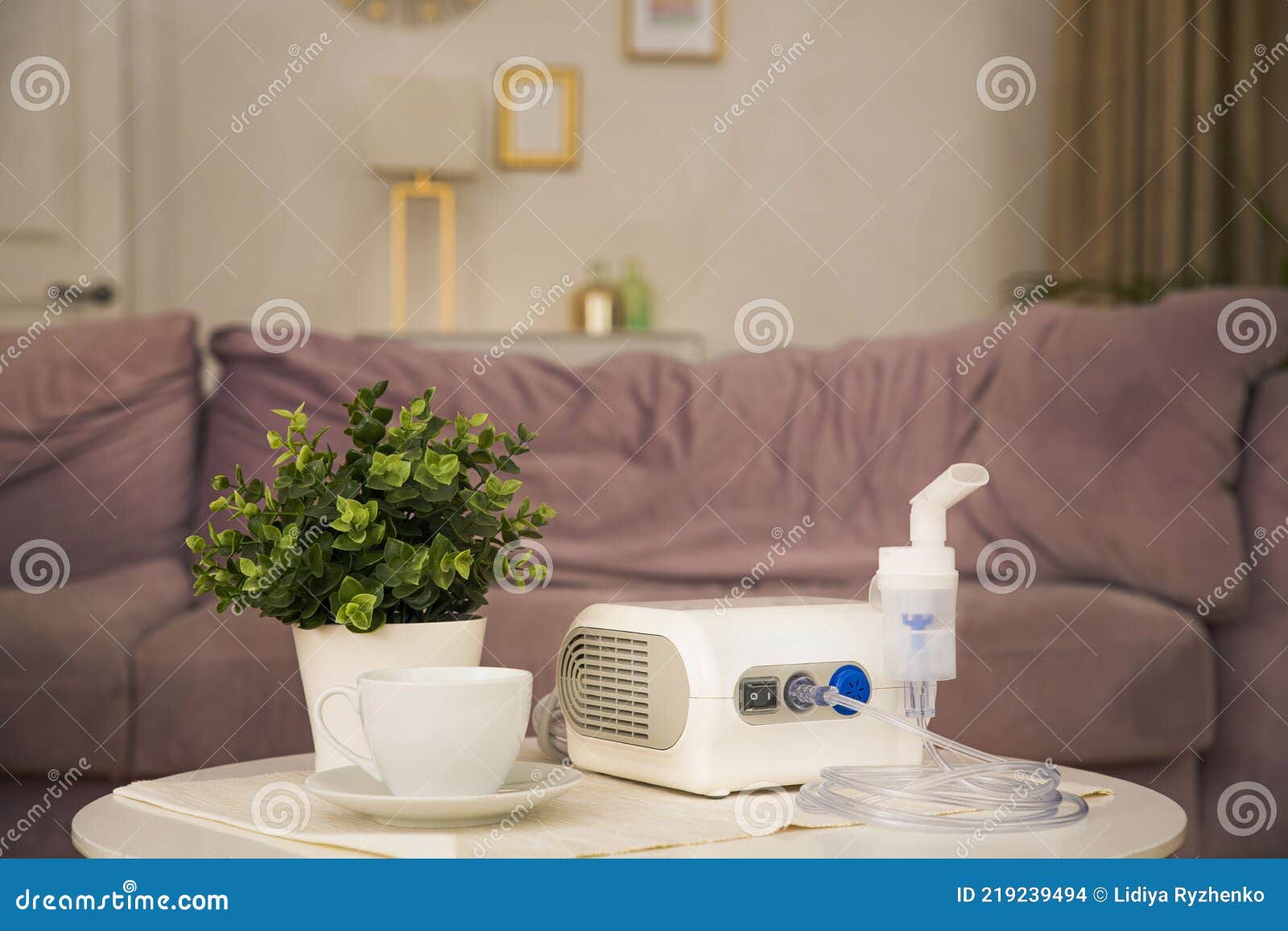 Nebulizer on the Coffee Table Near the Sofa in the Room Stock Photo ...