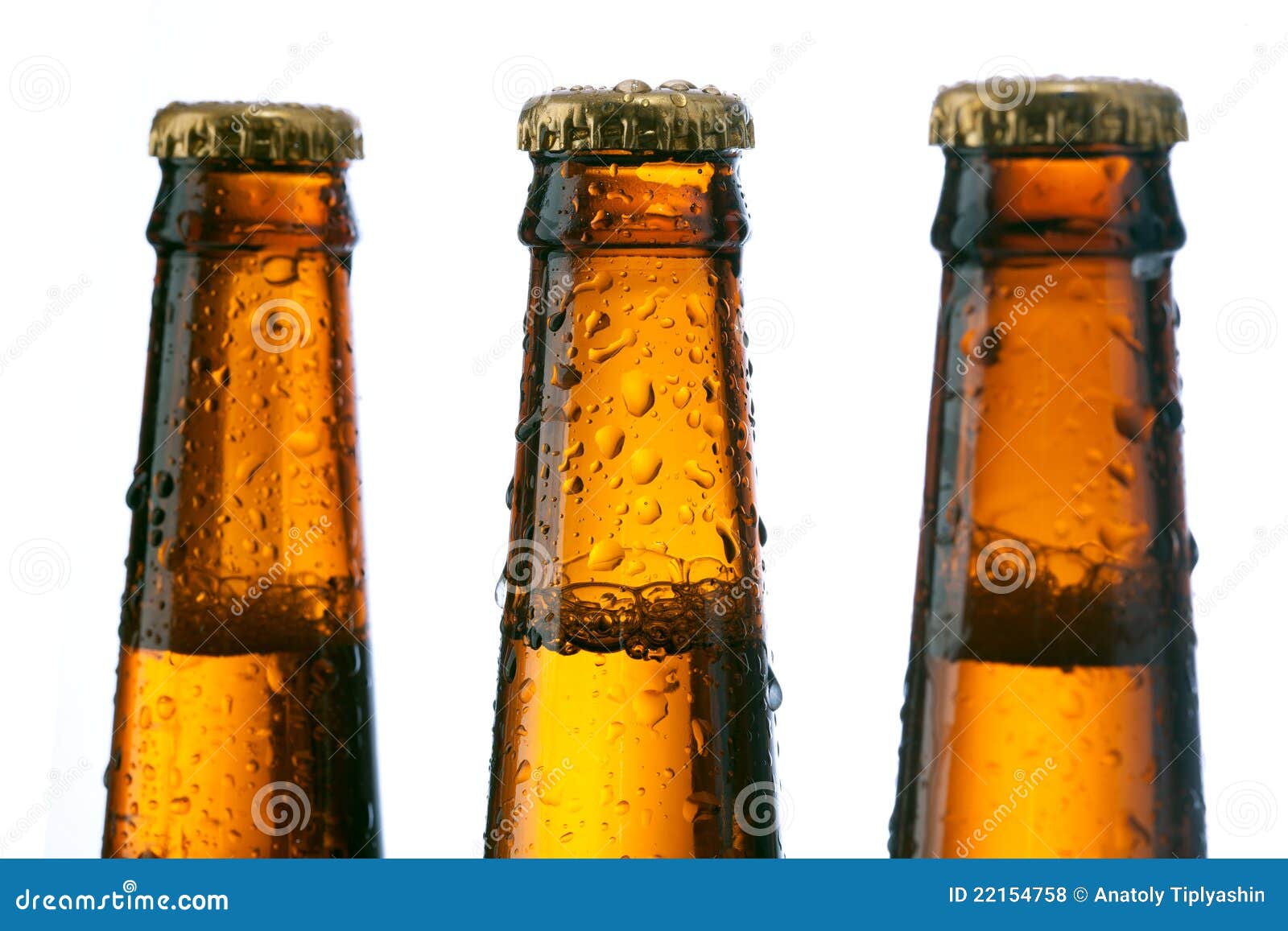 Neck of a beer bottle stock photo. Image of alcohol, fresh - 22154758