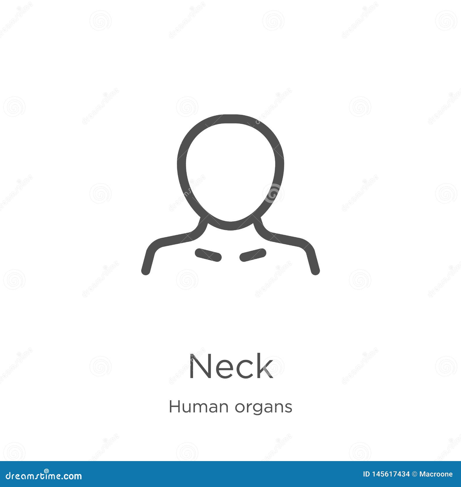 Neck Icon Vector from Human Organs Collection. Thin Line Neck Outline ...