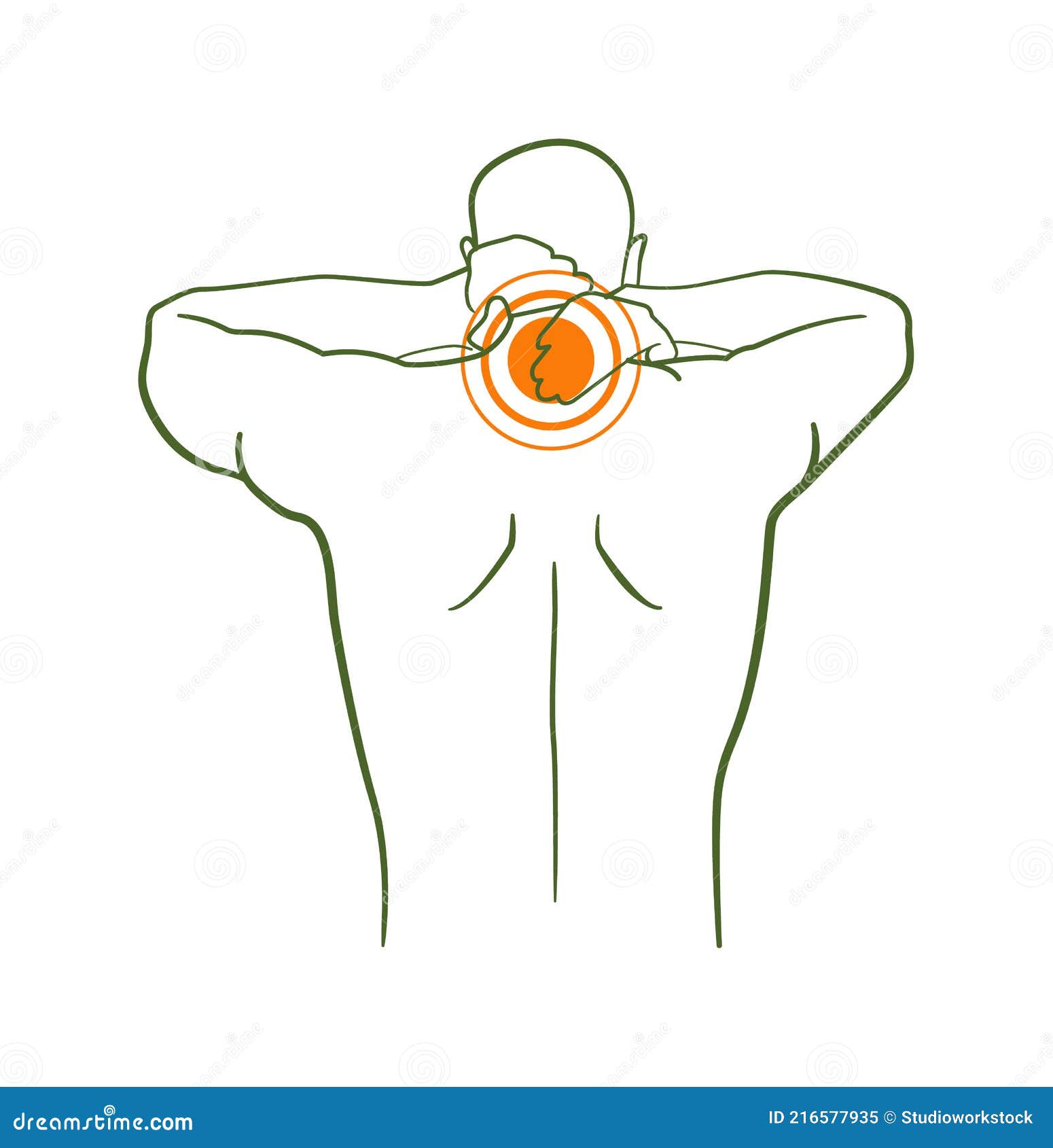 Backbone Problem X-ray View Royalty-Free Stock Photography ...