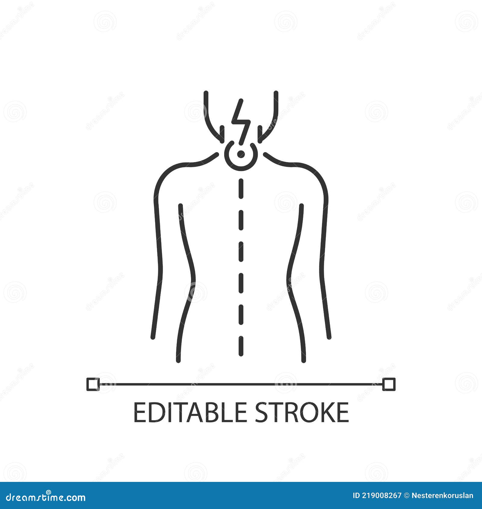 Nerve Root Anatomical Structure Labeled Cross Section Cartoon Vector ...