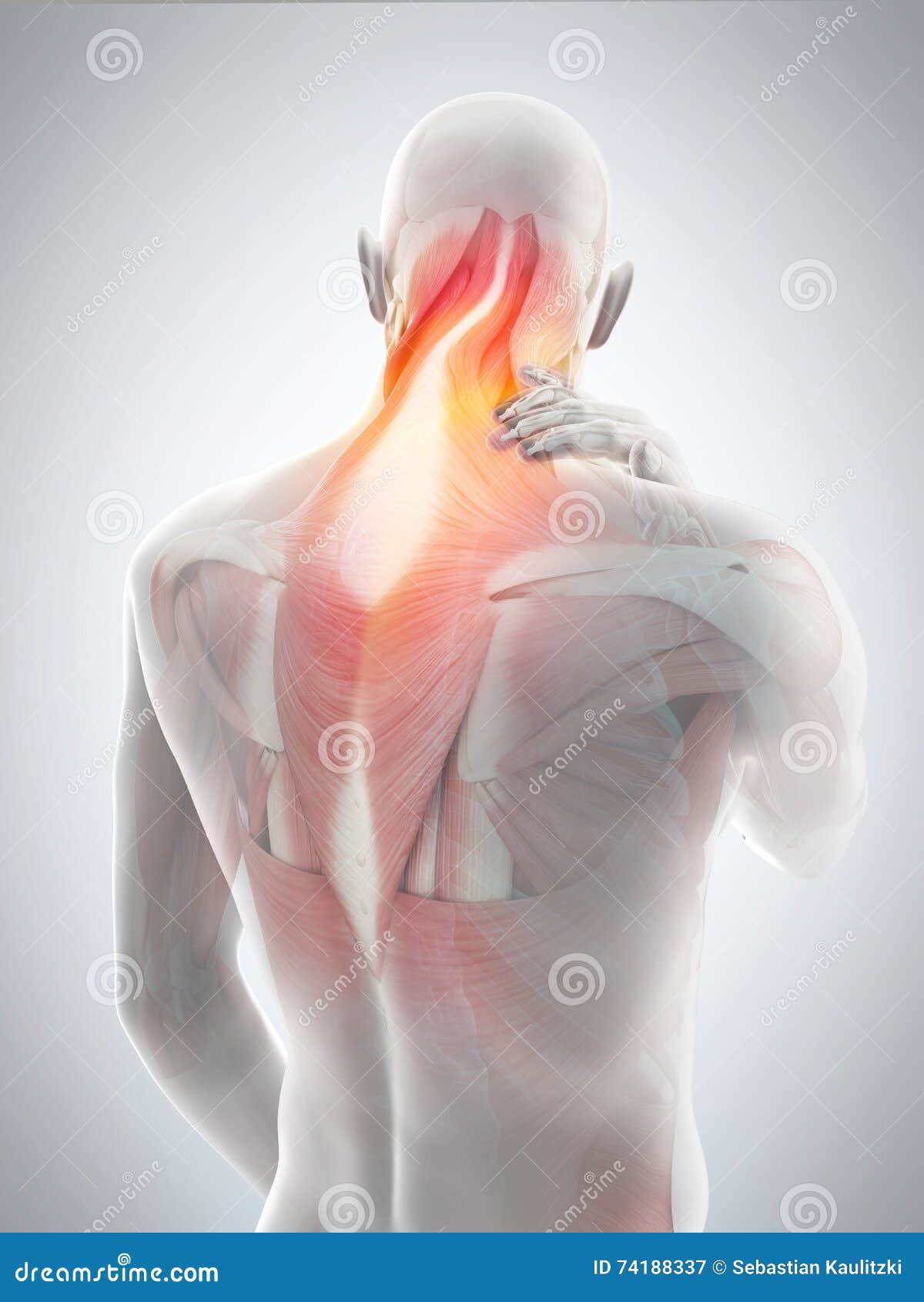 Neck Pain Line Icon, Body Pain Concept, Man Suffering From Neck Ache ...