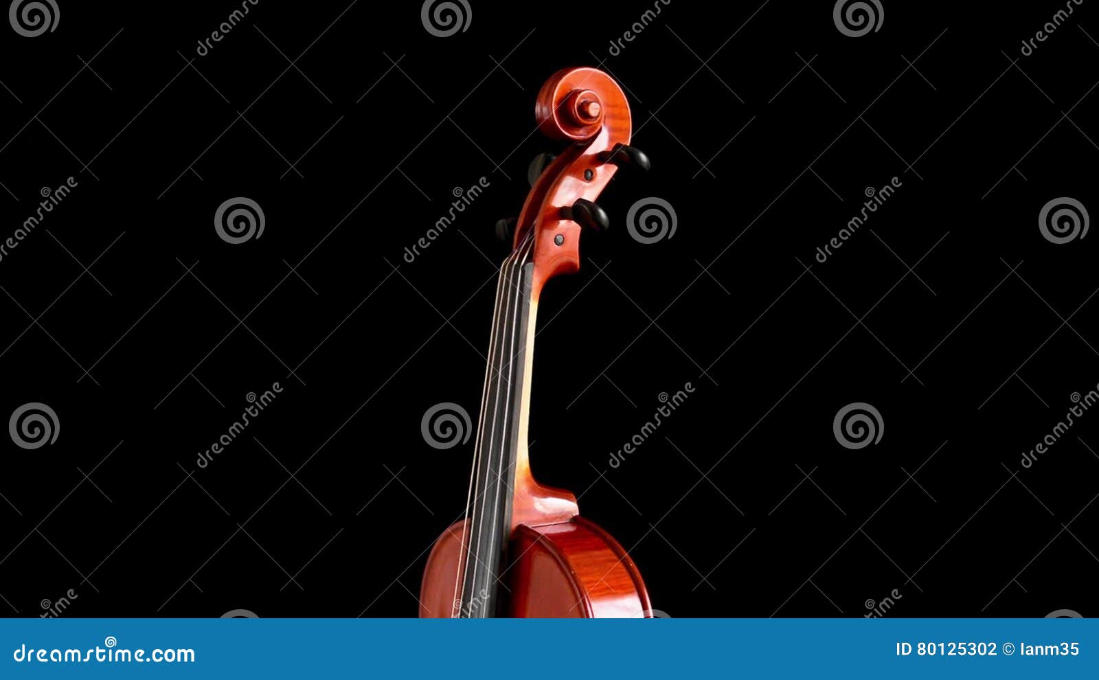 Neck, Scroll and Pegbox of Violin or Viola Gyrating Stock Footage ...