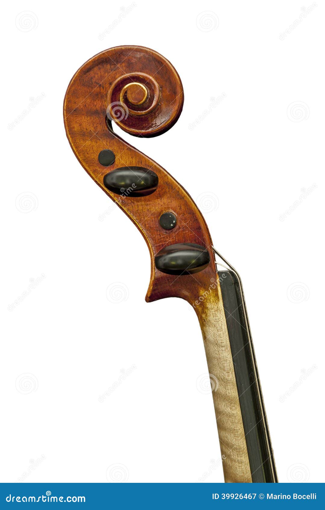 Neck of the violin stock image. Image of studio, beautiful - 39926467