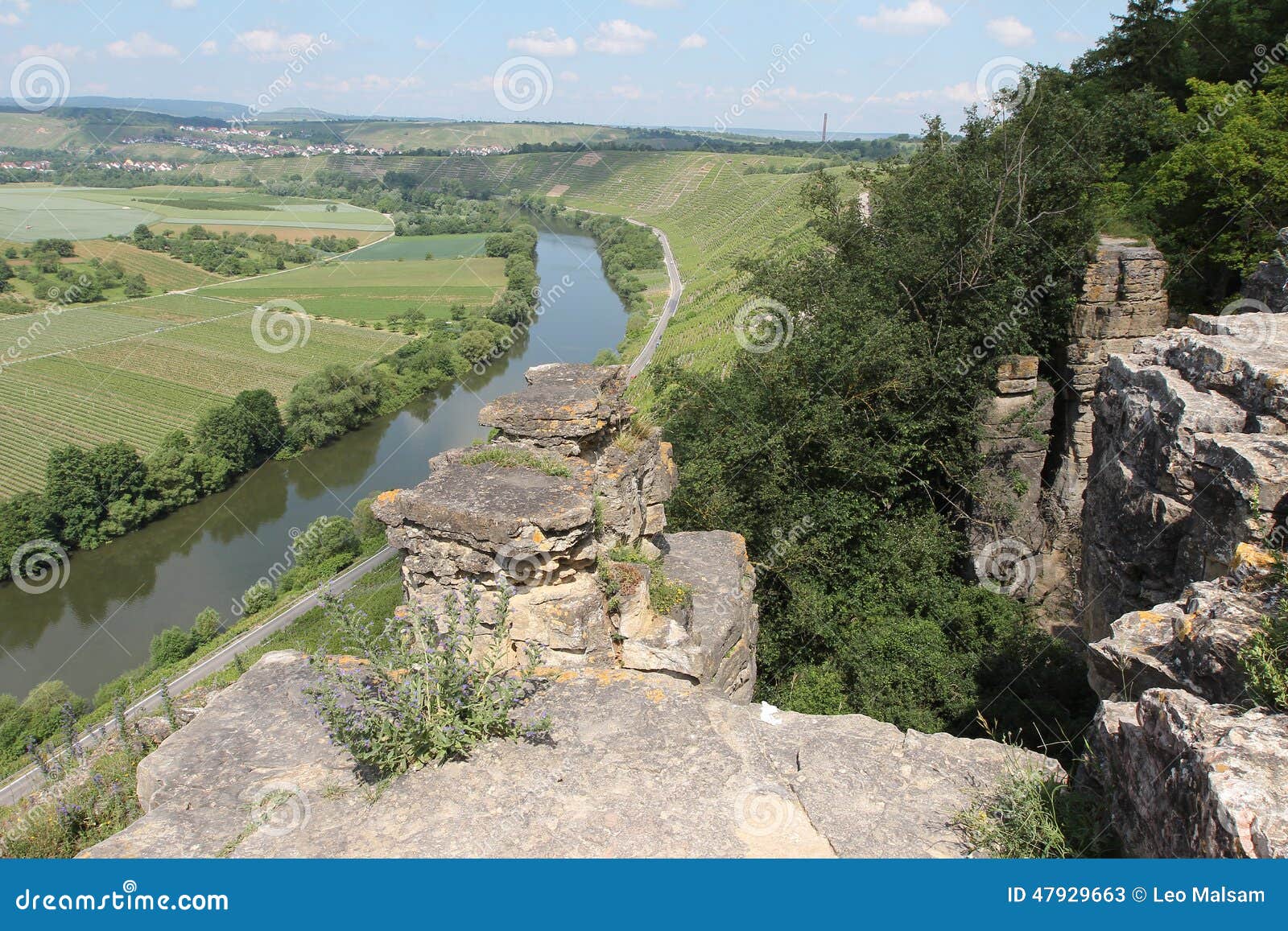 Neckar Meander stock image. Image of bent, natural, wide - 47929663