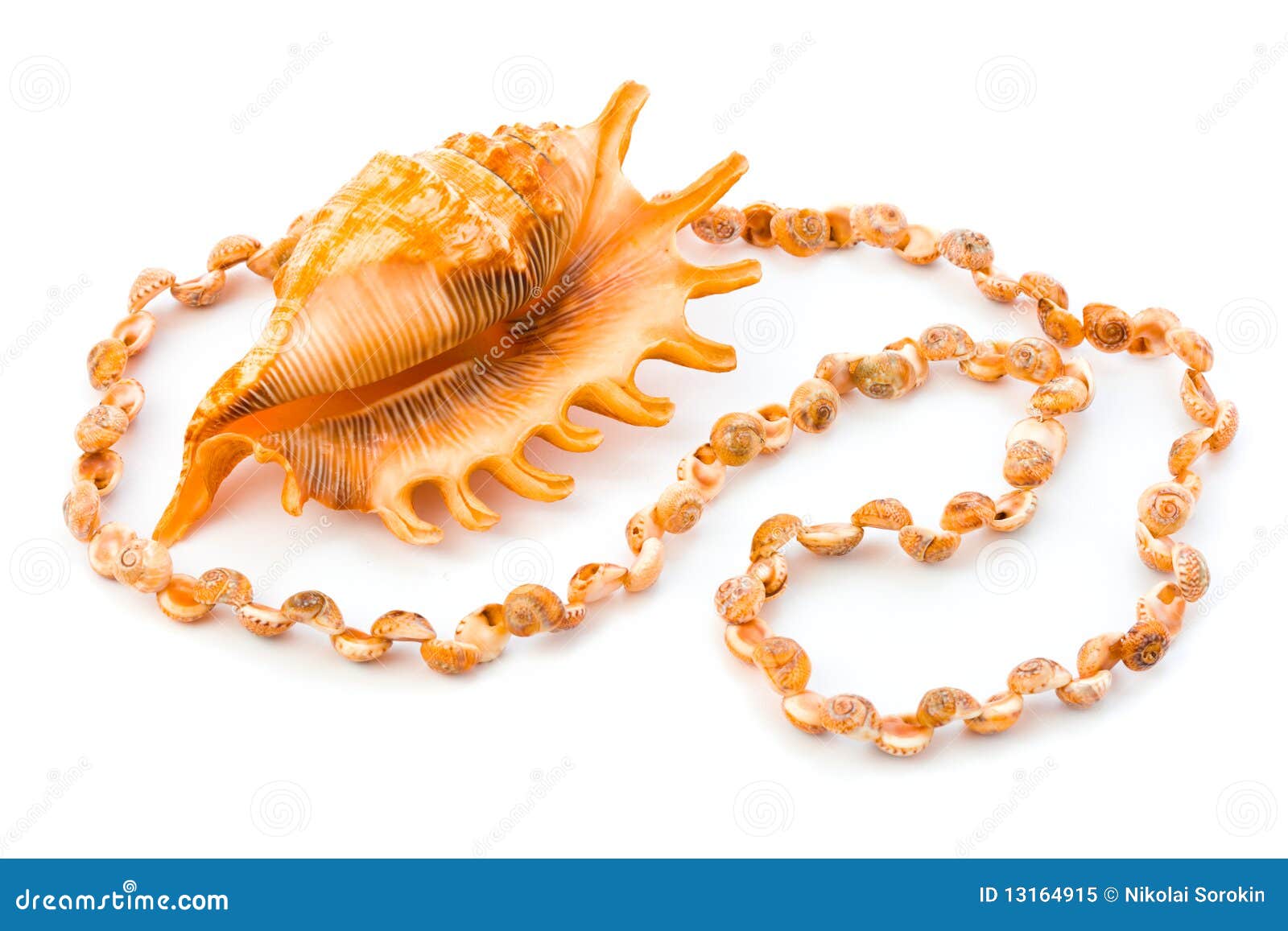 Necklace made of sea shell stock image. Image of jewelry - 13164915