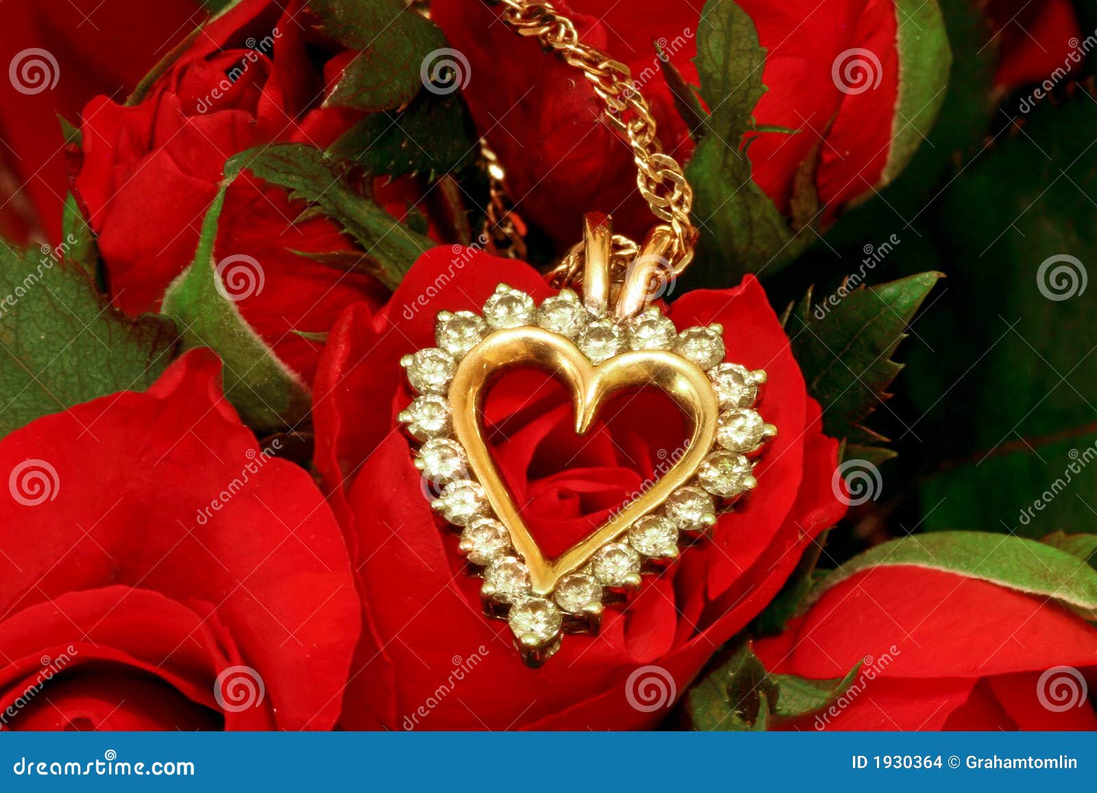 Necklace on red rose stock photo. Image of celebration - 1930364