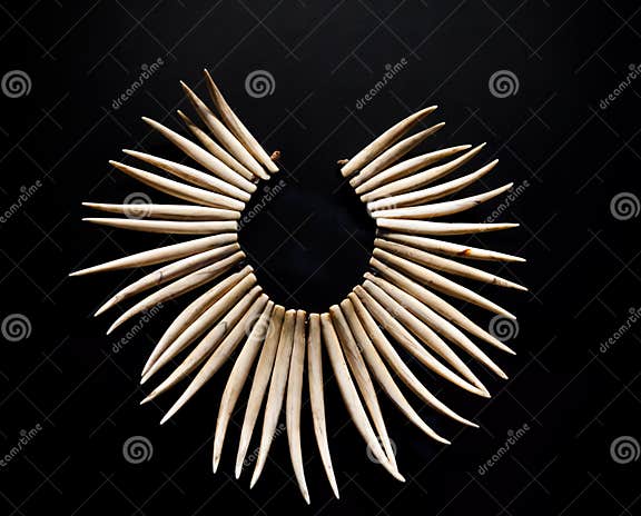 Necklace from Teeth of a Predator Stock Image - Image of community ...