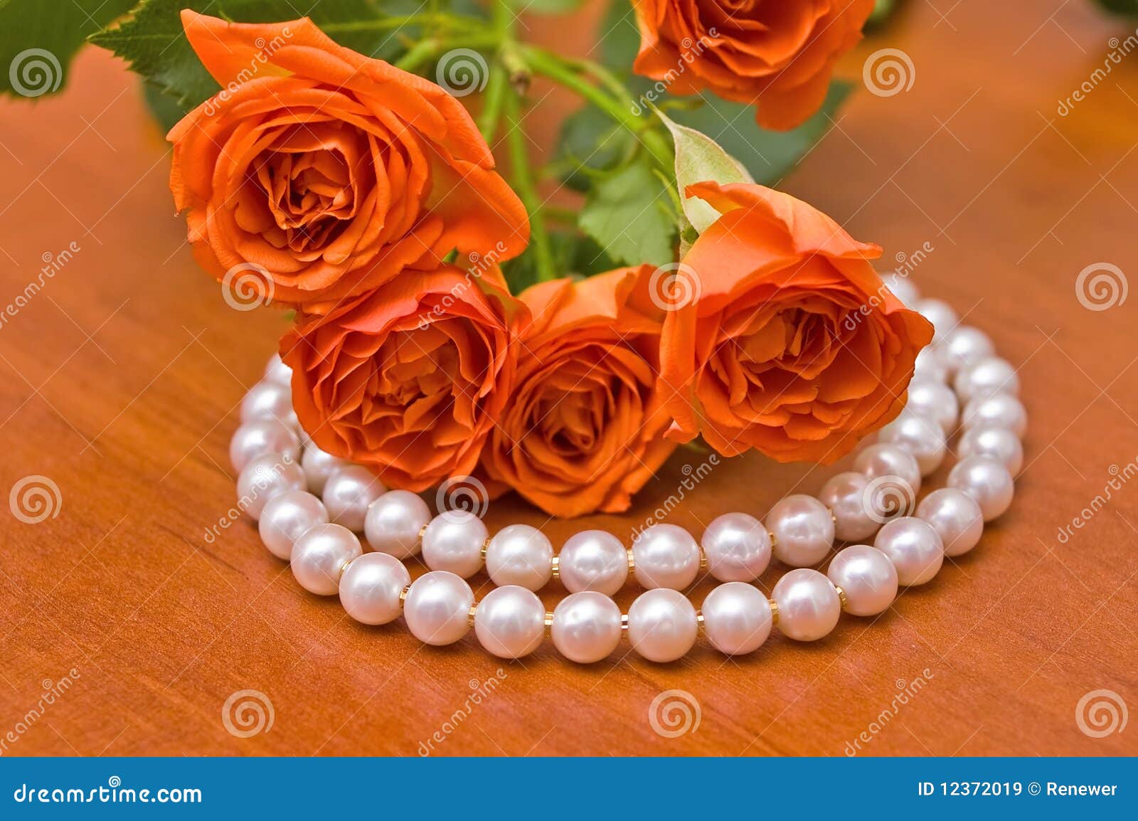 Neclace De La Perla Y Rosas Rojas Imagen de archivo - Imagen de aguja ...