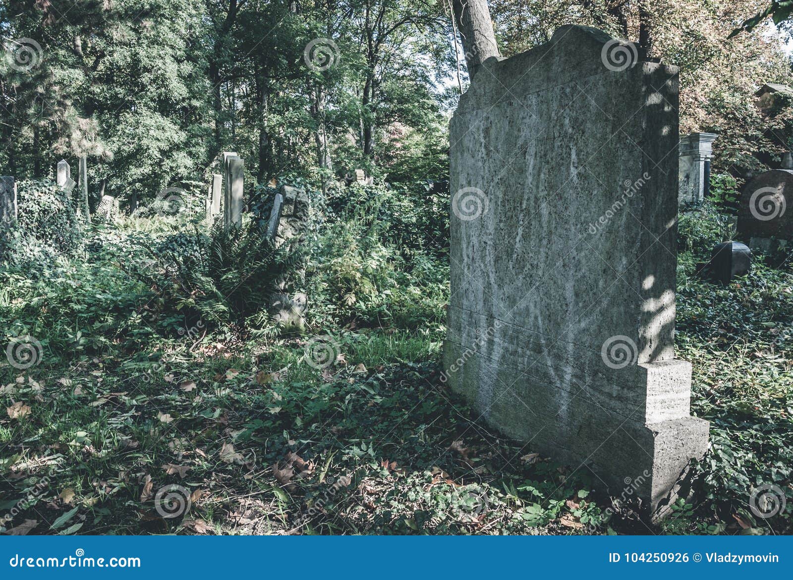 Old Tombstone On The Cemetery Stock Photography | CartoonDealer.com ...