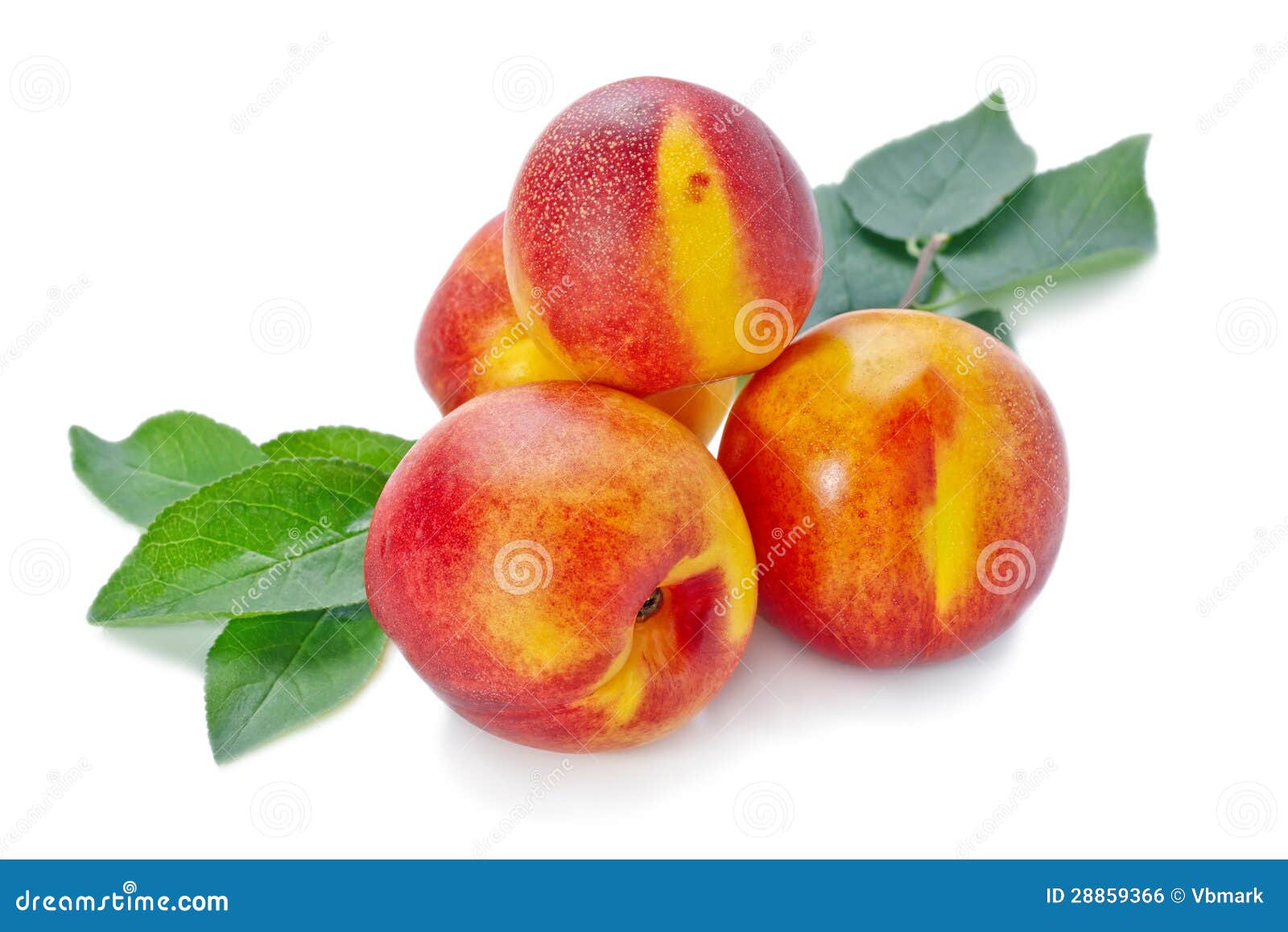 Nectarin stock photo. Image of slice, macro, healthy - 28859366