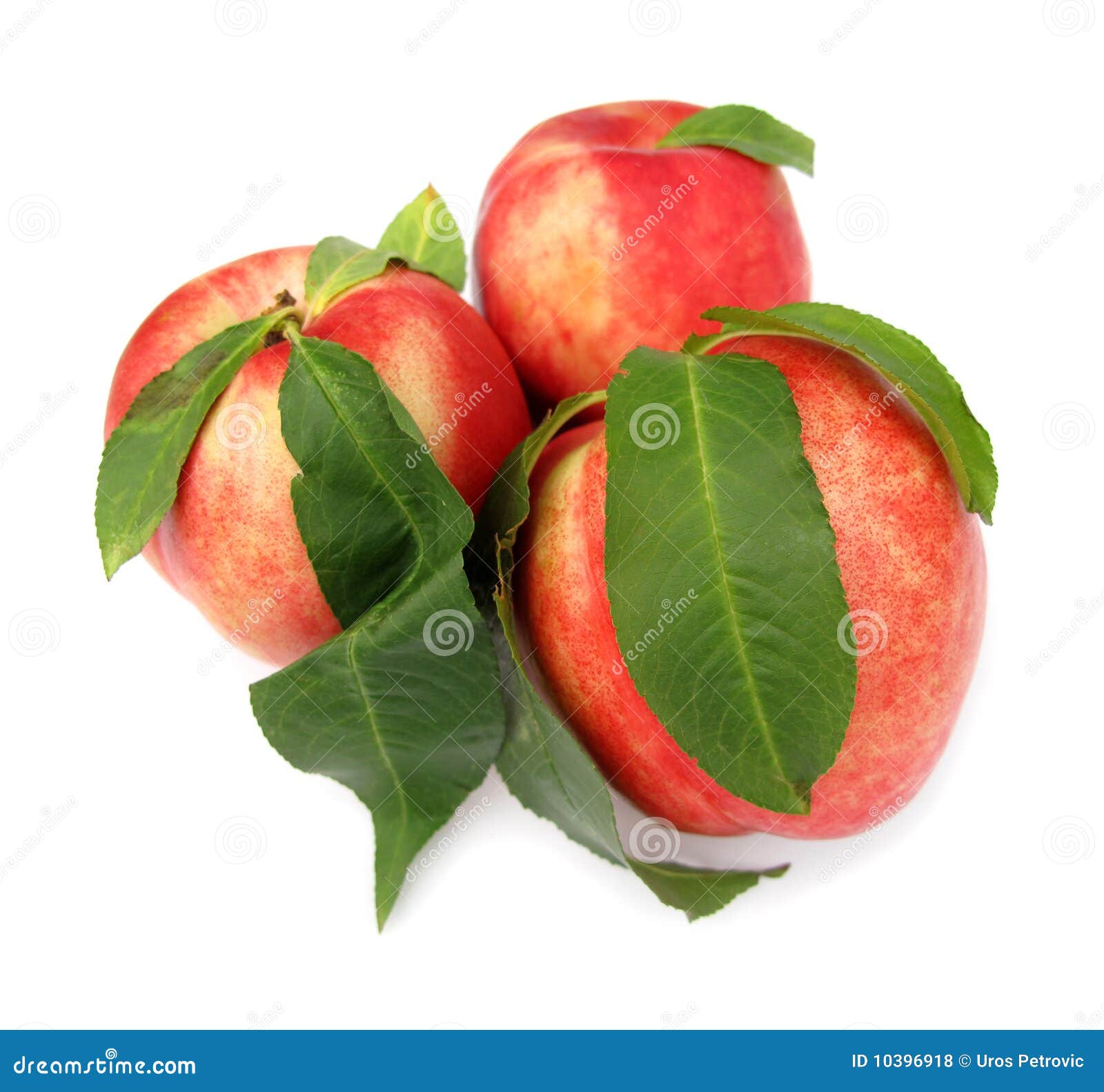 Nectarine stock photo. Image of refreshing, tasty, isolated - 10396918