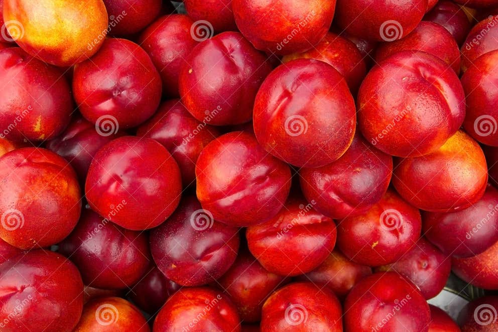 Nectarine stock photo. Image of fresh, ripe, food, sweet - 26077232