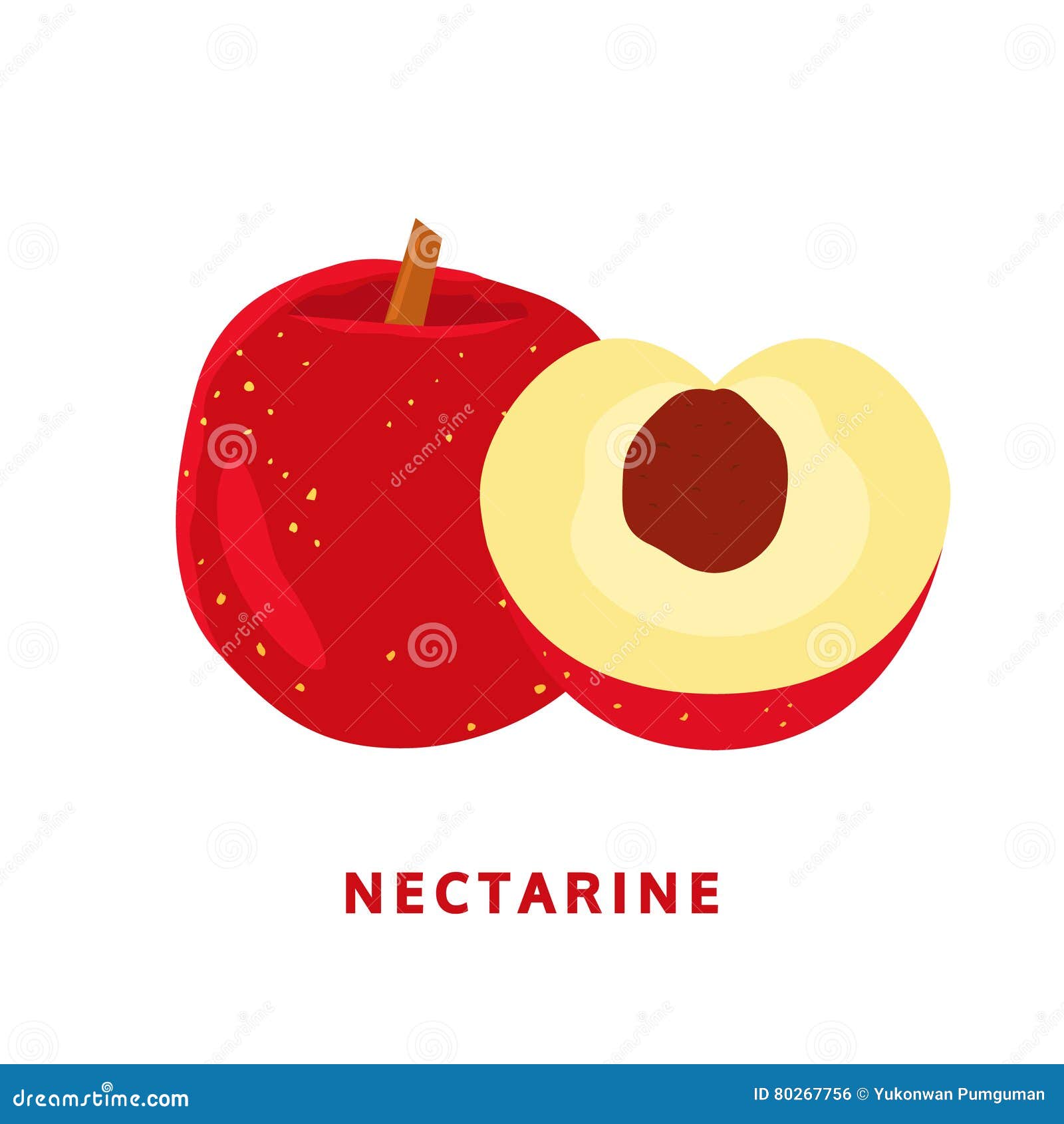 Nectarine Fruit Close Up 3d Rendering With Realistic Texture Stock
