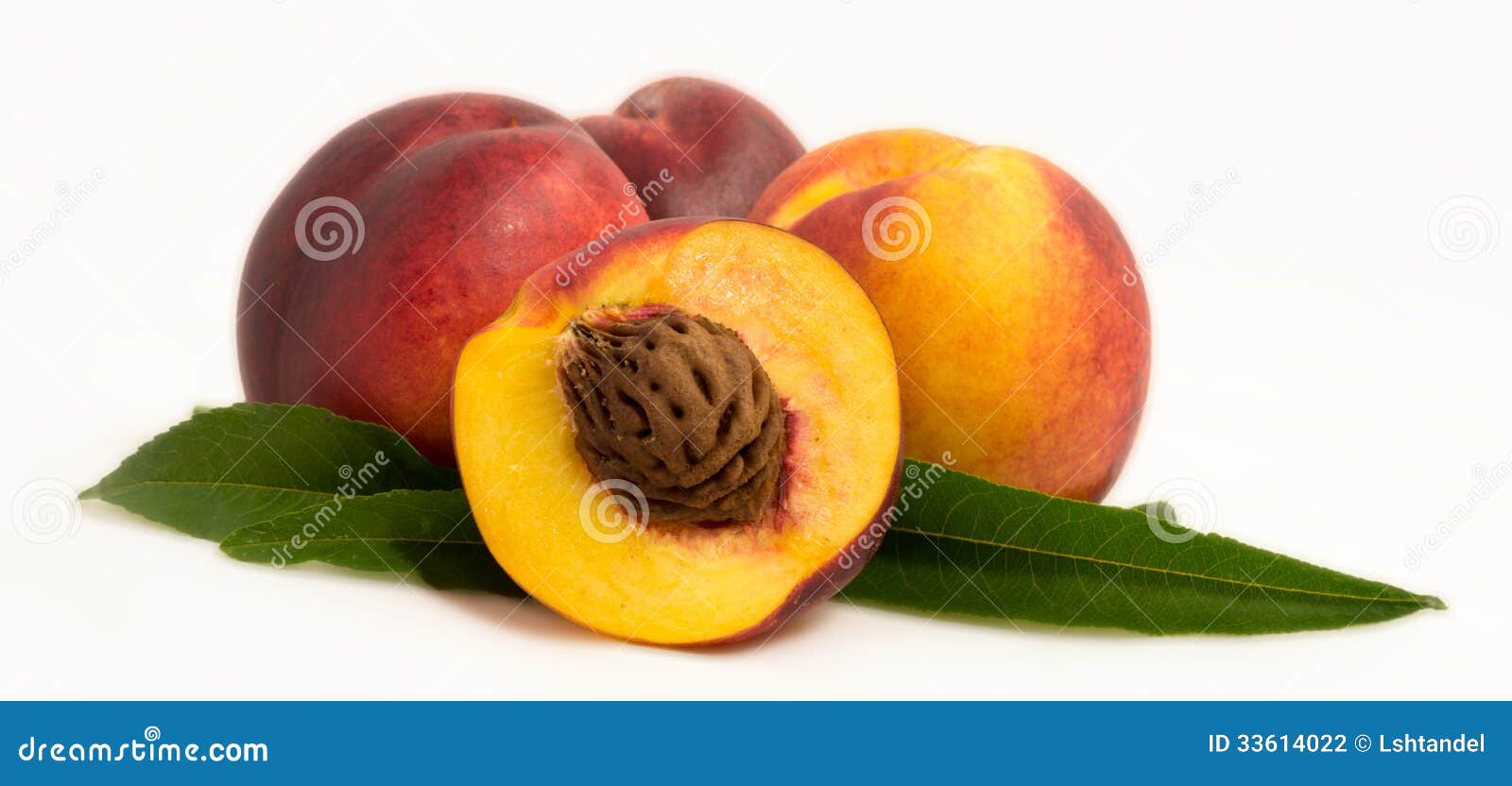 Nectarine Fruits with Pits and Leaves Stock Photo - Image of leaf ...