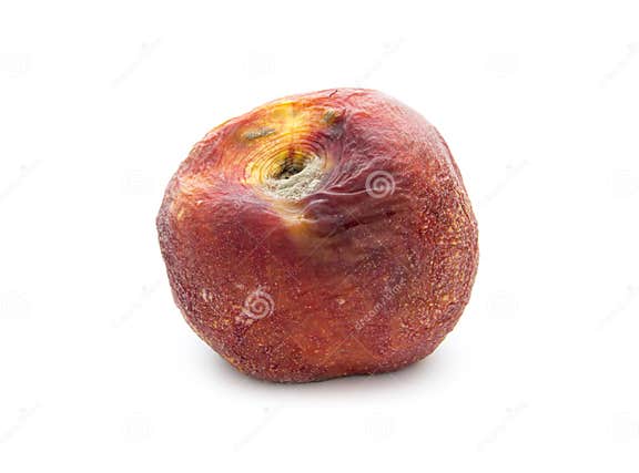 Nectarine stock image. Image of mildew, wrinkled, uncooked - 33791169