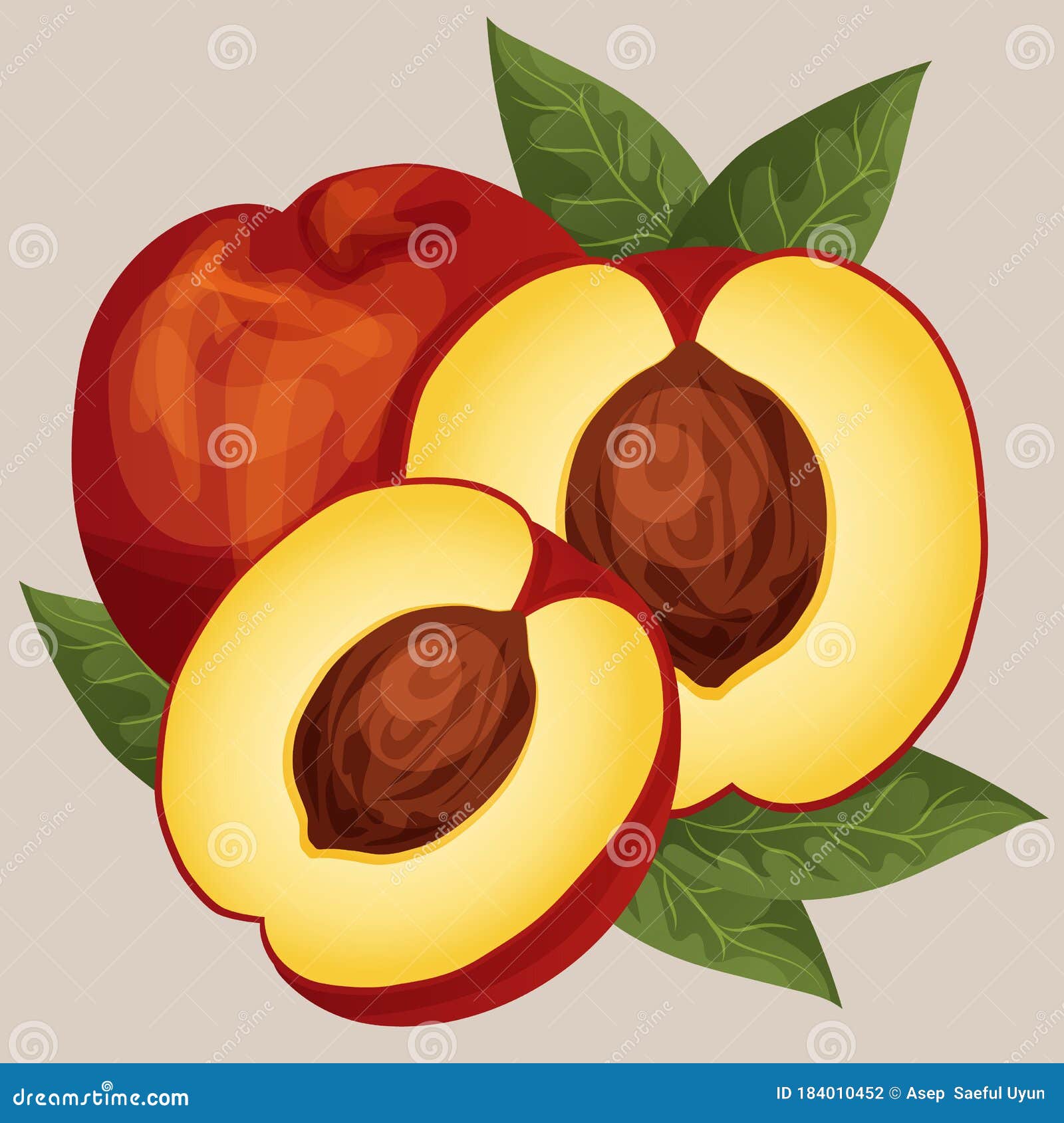 Nectarine Vector Illustration Stock Vector - Illustration of peach ...