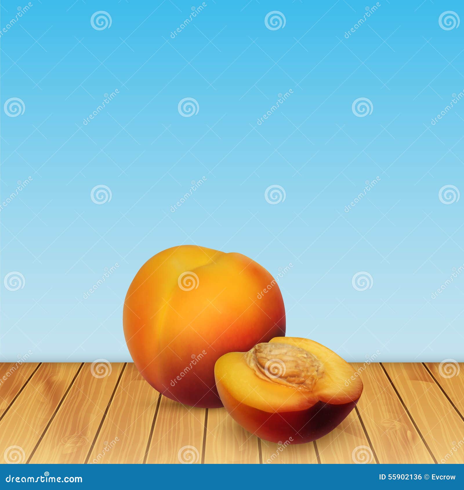 Nectarine stock vector. Illustration of graphic, healthy - 55902136