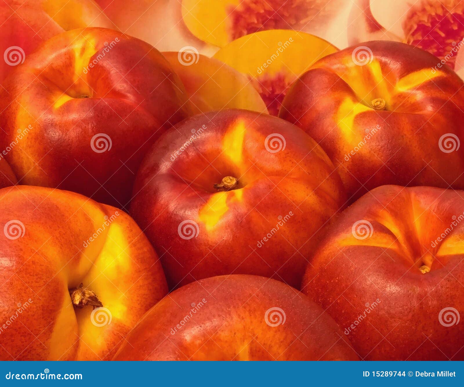 Nectarines stock photo. Image of trees, color, farms - 15289744