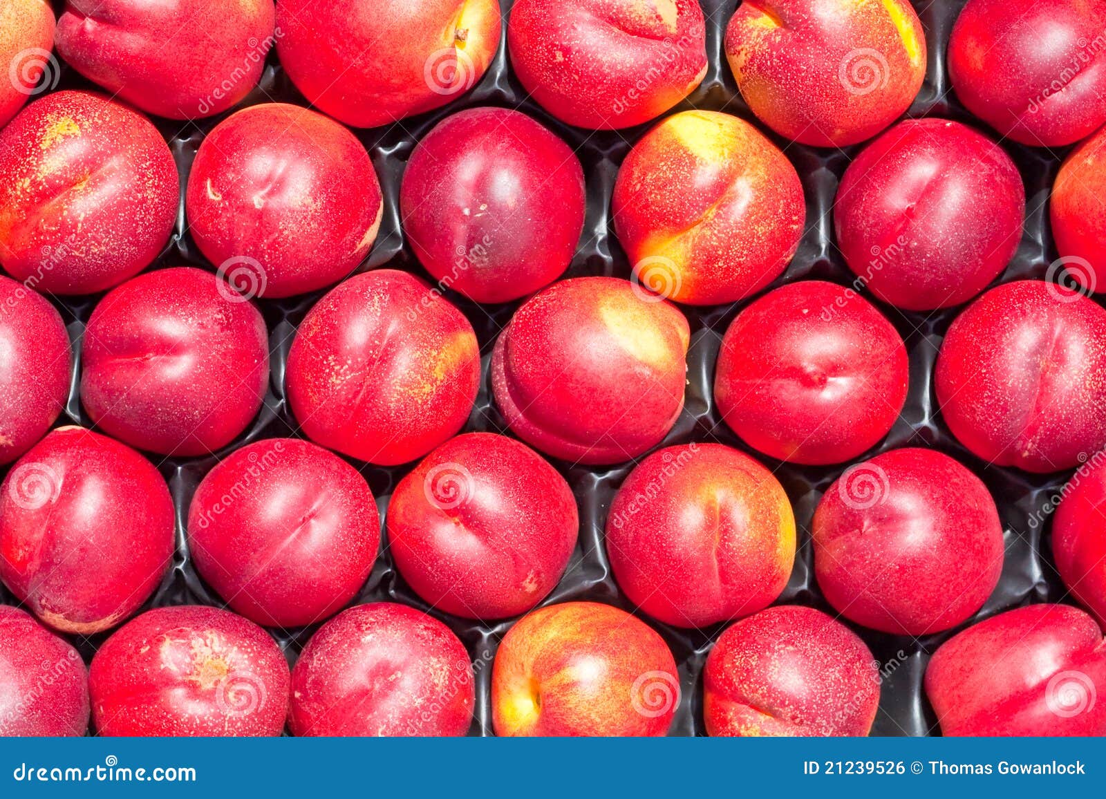 Nectarines photo stock. Image du sain, nutrition, vitamine - 21239526
